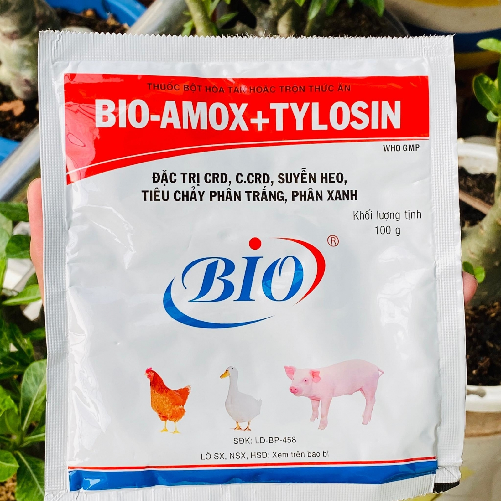Bio Amox Tylosin (100gr)- ĐẶC TRỊ CRD, C.CRD, SUYỄN HEO- TIÊU CHẢY PHÂN ...